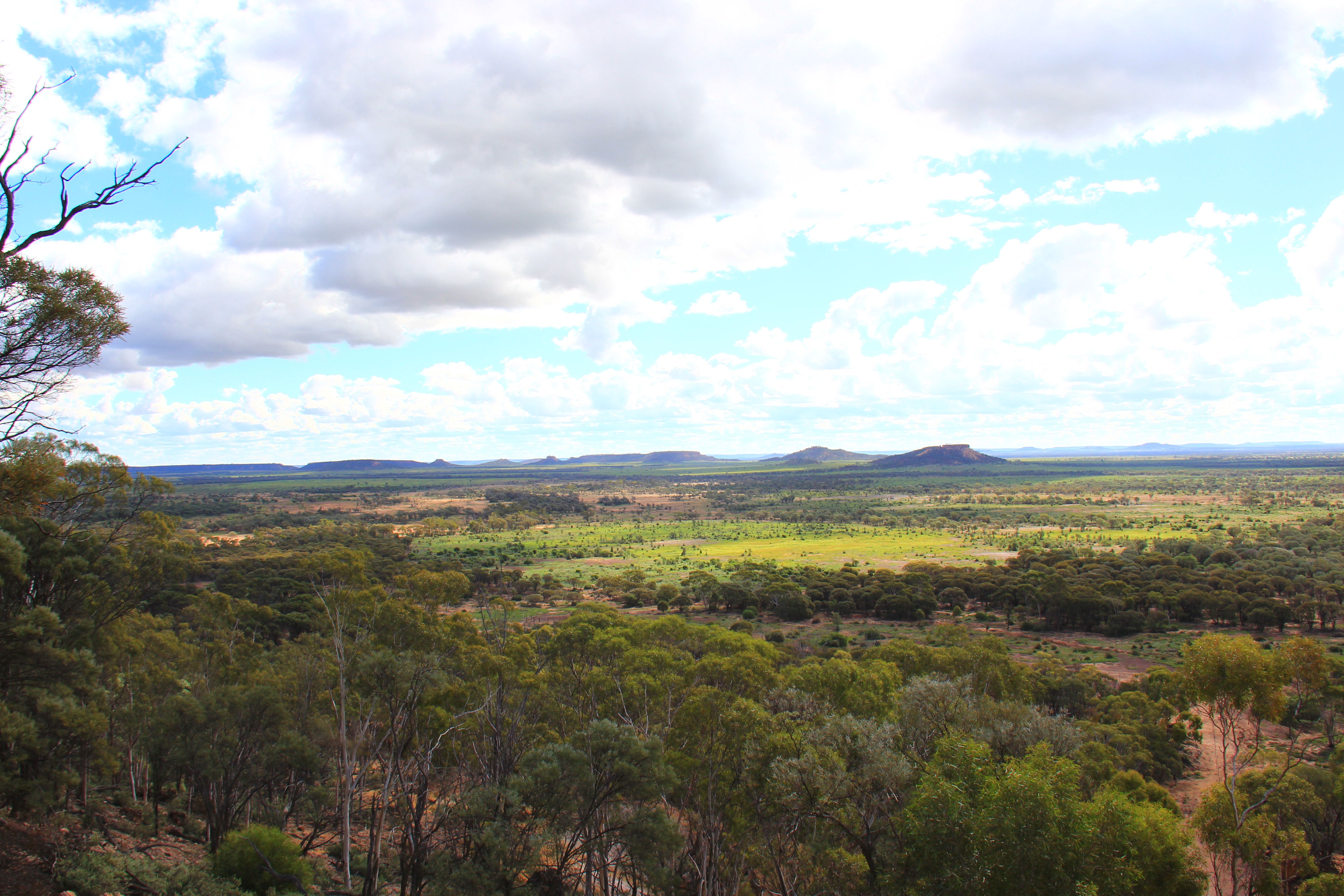GOAT FARMS AUSTRALIA – Since 1957 … and now a sustainable, integrated ...